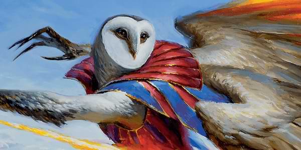 Take to the Skies With the New Owlin Race From Strixhaven: A Curriculum ...