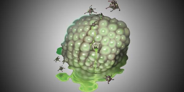 Encephalon Clusters and Gemmules: The Rotten Eggs of the Illithid ...