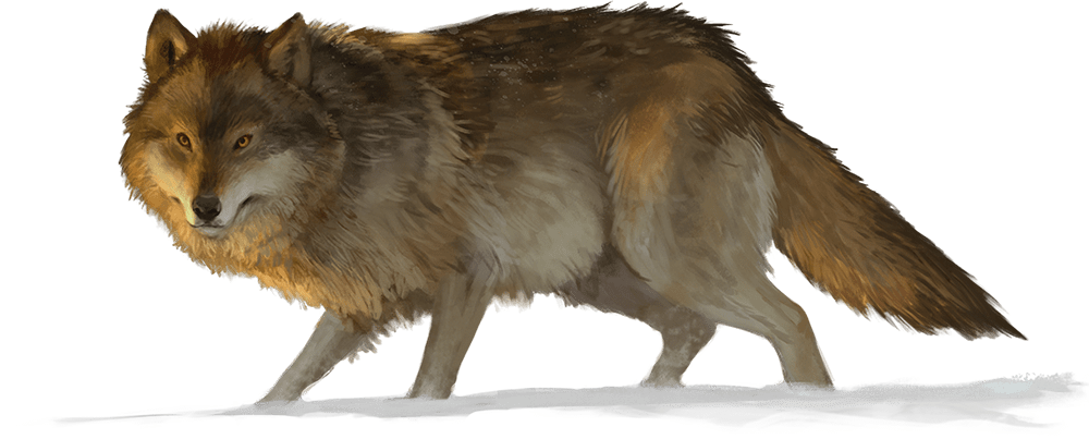 Dnd Wolf Humblewood Tales Dnd Wolf Humblewood Tales